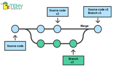 Github là gì? Các thuật Github mà bạn không thể bỏ qua