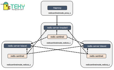 Redis Sentinel là gì? Redis Cache là gì bạn có biết?